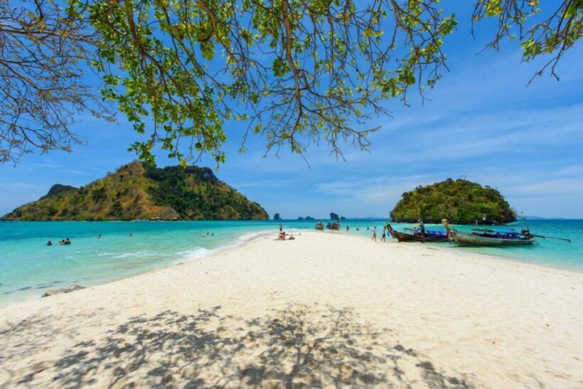 From Krabi: Phi Phi Early Bird & 4 Islands by Speedboat - What to Expect at Each Stop