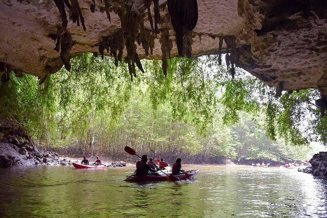 From Krabi - Phi Phi Island & Maya Bay Speedboat Tour with Lunch - Who Will Love This Tour?