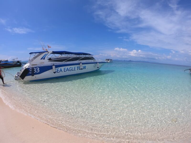 From Krabi: Phi Phi Islands Speedboat Day Tour - Who Should Consider This Tour?