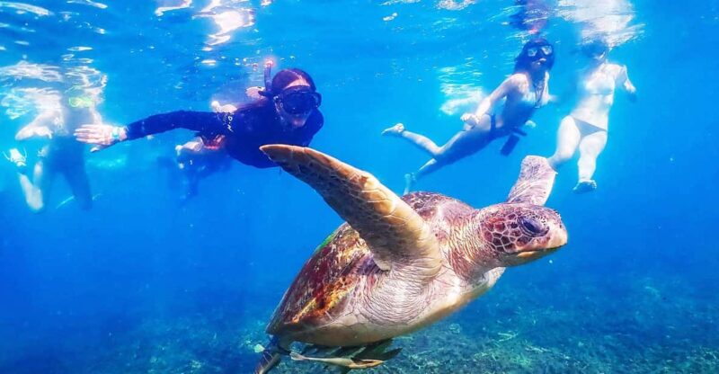 From Krabi: Surin Islands Snorkeling Tour w/ Meals - Key Points