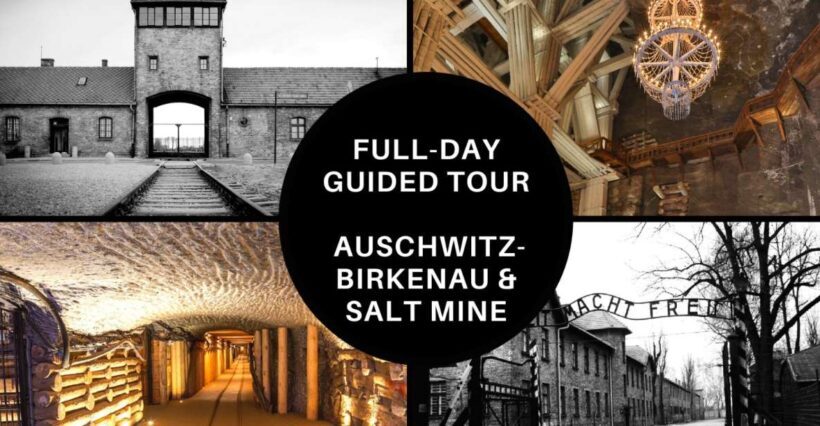 From Krakow: Auschwitz Birkenau and Salt Mine Guided Tour - Detailed Review of the Tour Experience
