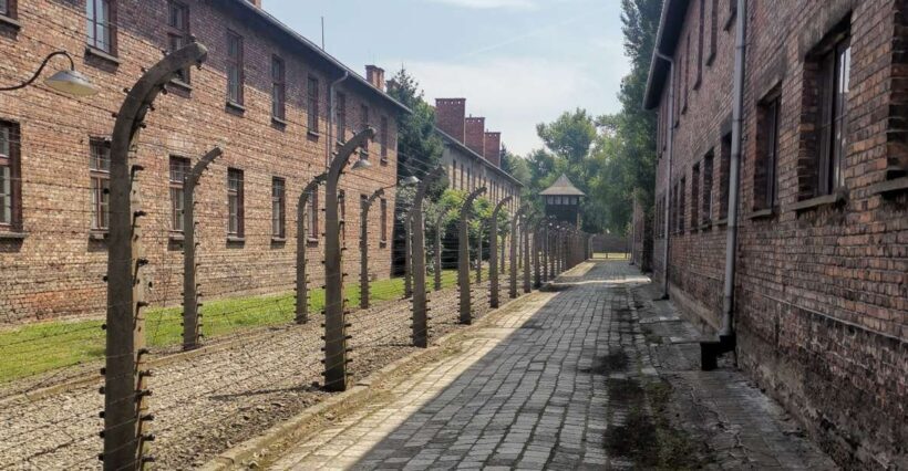 From Krakow: Auschwitz-Birkenau Camp Complex Guided Day Trip - Exploring the Auschwitz-Birkenau Guided Day Trip: A Deep Dive