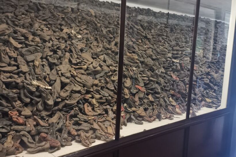 From Krakow: Auschwitz-Birkenau Camp Complex Guided Day Trip - What Sets This Tour Apart?