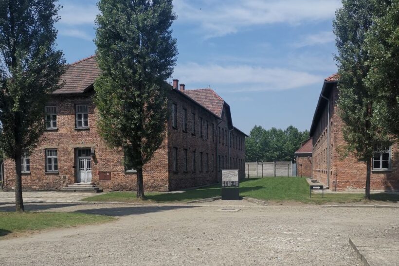 From Krakow: Auschwitz-Birkenau Camp Complex Guided Day Trip - Final Thoughts: Who Will Benefit Most?