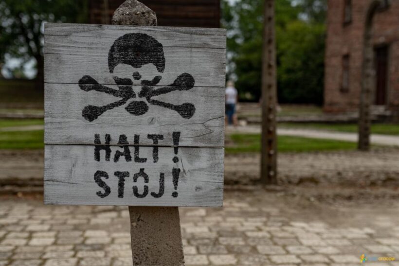 From Krakow: Auschwitz-Birkenau Guided Tour Guaranteed Time - The Sum Up