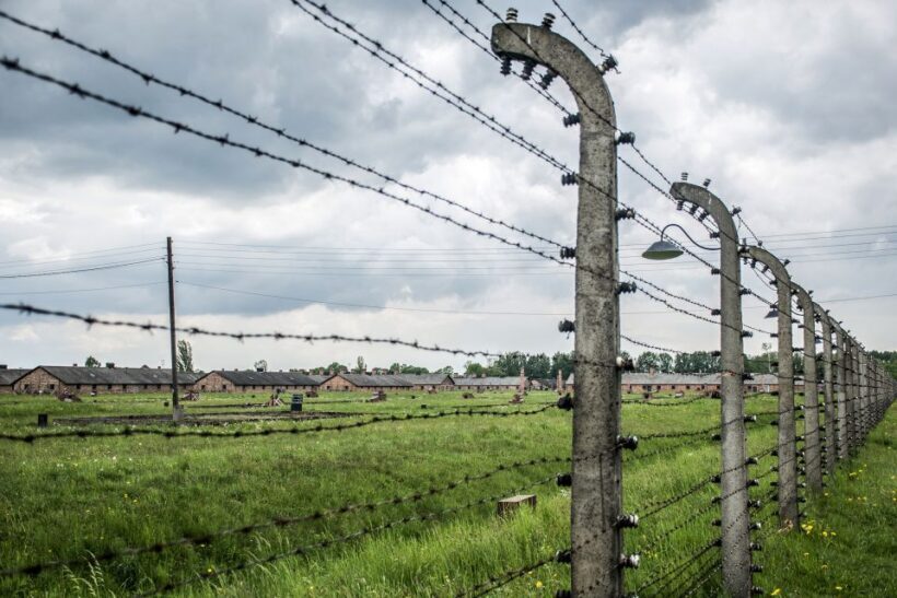From Krakow: Auschwitz-Birkenau Guided Tour & Hotel Pickup - The Sum Up