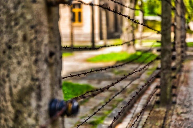 From Krakow: Auschwitz-Birkenau Guided Tour & Transport - Authentic Experiences and Highlights from Reviews