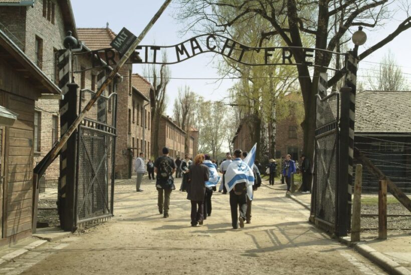 From Krakow: Auschwitz-Birkenau Memorial and Museum Tour - Introduction