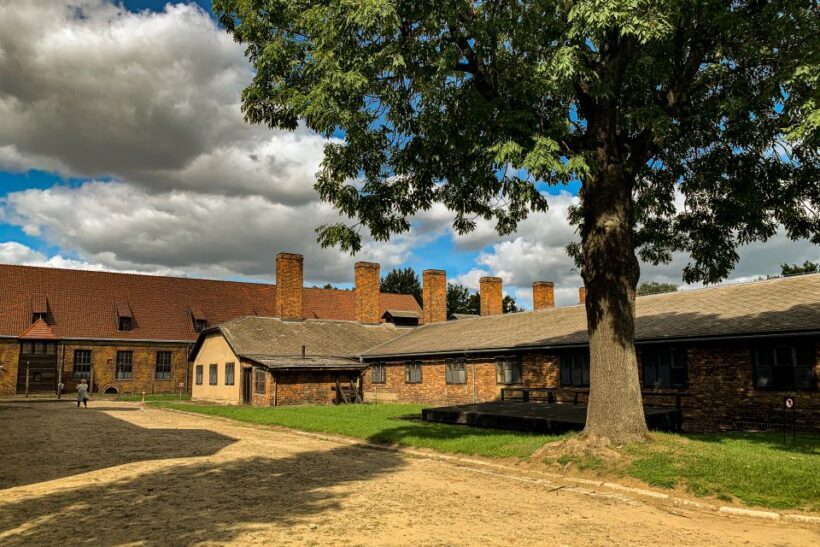 From Krakow: Auschwitz-Birkenau Memorial and Museum Tour - Who This Tour Is Best For