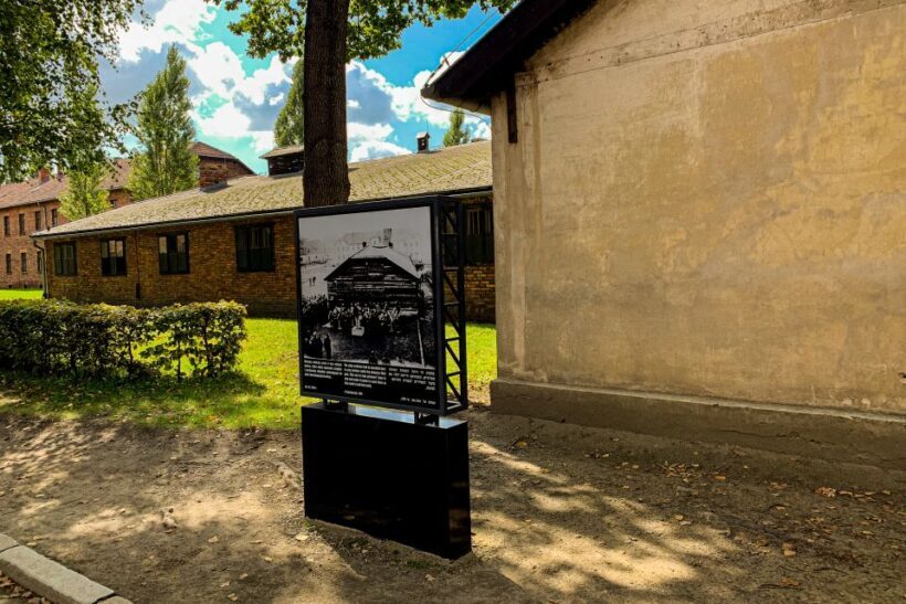 From Krakow: Auschwitz-Birkenau Memorial and Museum Tour - Final Thoughts