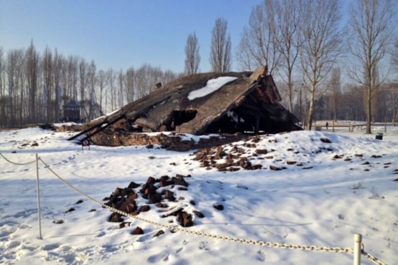 From Krakow: Auschwitz-Birkenau Private or Shared Tour - The Sum Up