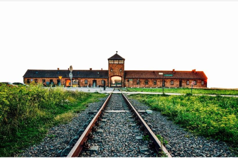 From Krakow: Auschwitz-Birkenau & Schindler's Factory Tour - Who Will Love This Tour?