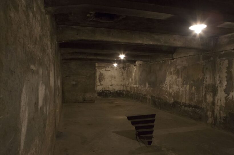 From Krakow: Auschwitz-Birkenau Tour - Key Points