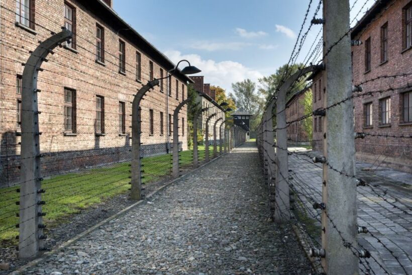 From Krakow: Auschwitz-Birkenau Tour - What to Expect on the Tour