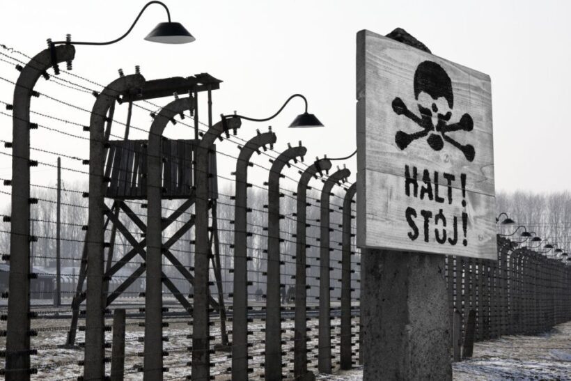 From Krakow: Auschwitz-Birkenau Tour - Who Will Appreciate This Tour?