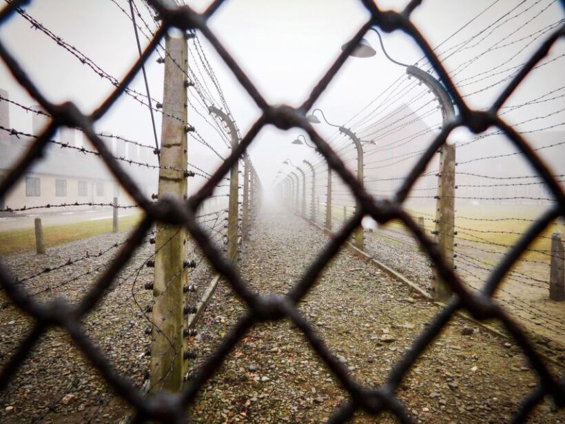 From Krakow: Auschwitz-Birkenau Tour with Transportation - An Honest Breakdown of the Experience