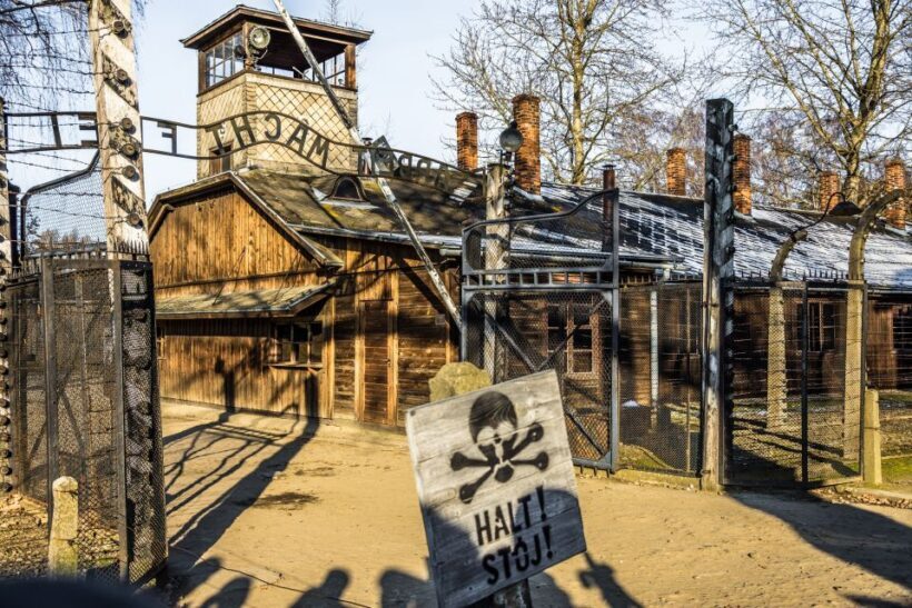 From Krakow: Auschwitz-Birkenau Tour with Transportation - Authentic Insights from Travelers