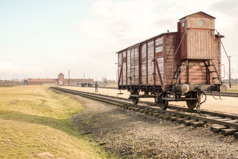 From Krakow: Auschwitz-Birkenau Tour with Transportation - Key Points