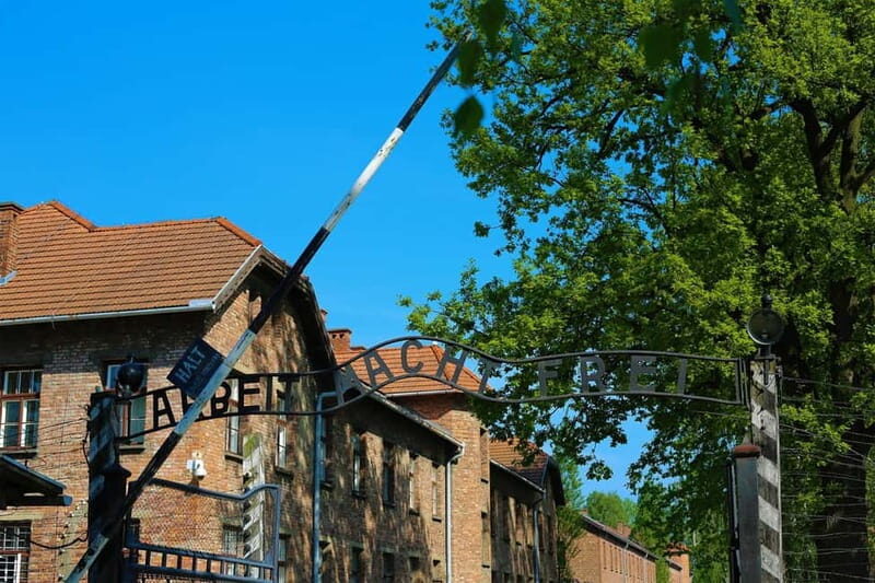 From Krakow: Auschwitz Museum and Wieliczka Salt Mine Tour - Key Points