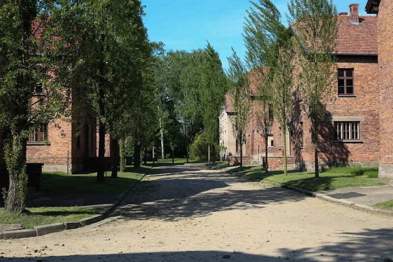 From Krakow: Auschwitz Museum and Wieliczka Salt Mine Tour - Who Should Consider This Tour?