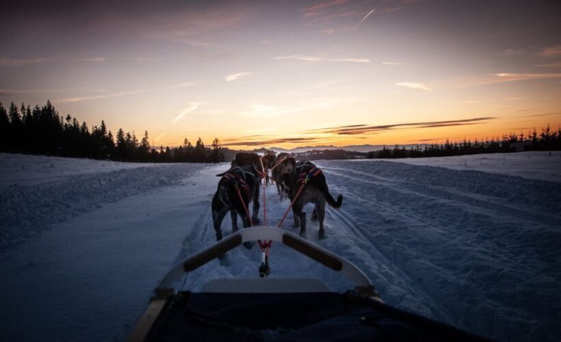 From Krakow: Dogsled Ride in Tatra Mountain - The Sum Up