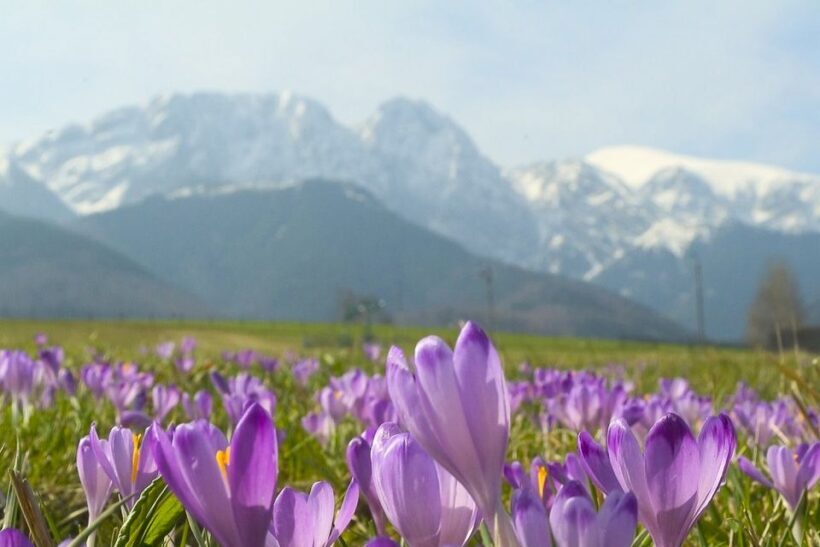 From Krakow: Full-Day Tour of Zakopane and Tatra Mountains - The Itinerary: What to Expect on This Zakopane and Tatra Mountains Tour