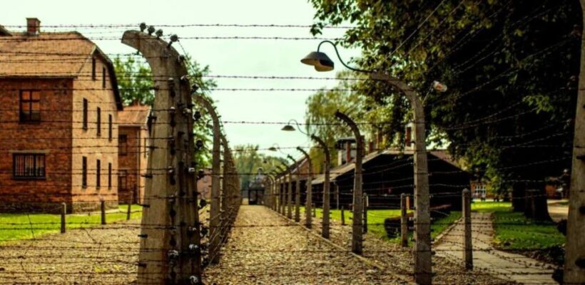 From Krakow: Guided Auschwitz-Birkenau Group Tour by Minivan - Starting from Krakow: Comfort and Convenience