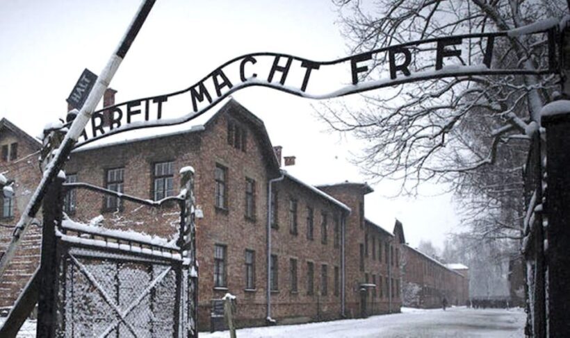 From Krakow: Guided Auschwitz-Birkenau Group Tour by Minivan - Return Journey and Logistics