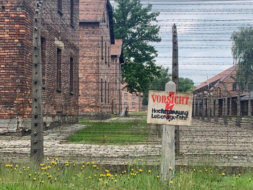 From Krakow: Guided Auschwitz-Birkenau Group Tour by Minivan - Pricing and Value