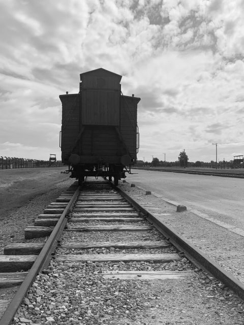 From Krakow: Guided Auschwitz-Birkenau Group Tour by Minivan - Who Will Love This Tour?