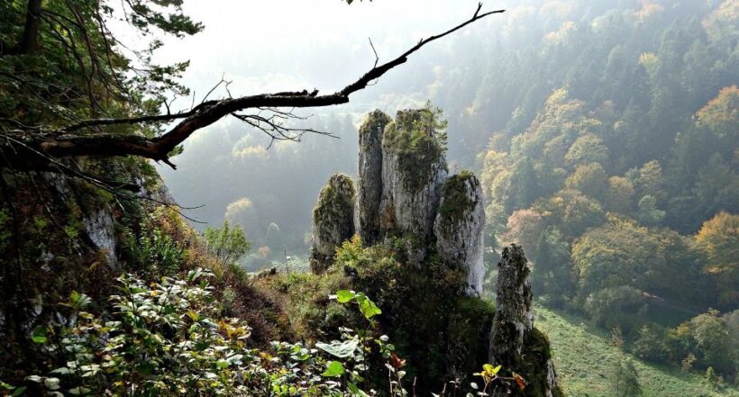 From Krakow: Ojców National Park Tour - An In-Depth Look at the Ojców National Park Tour