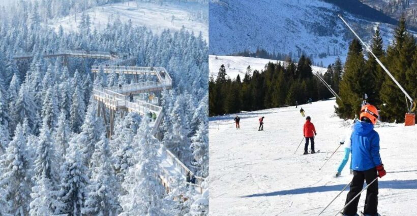 From Kraków: Slovakia Treetop Walk & 4-Hour Ski Pass - Key Points