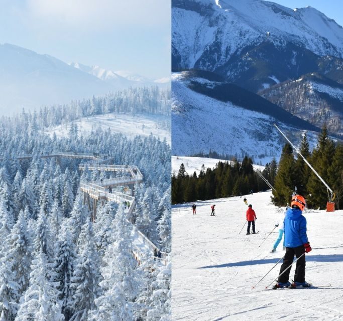 From Kraków: Slovakia Treetop Walk & 4-Hour Ski Pass - A Full Breakdown of the Experience