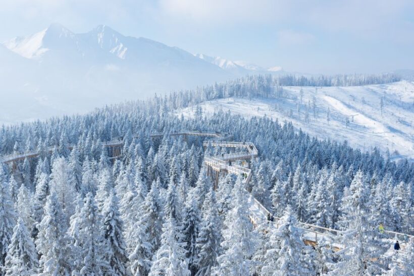 From Kraków: Slovakia Treetop Walk & 4-Hour Ski Pass - Final Thoughts