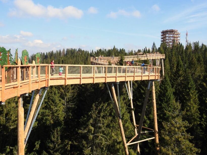 From Kraków: Slovakia Treetop Walk and Thermal Baths - What to Expect on This Tour