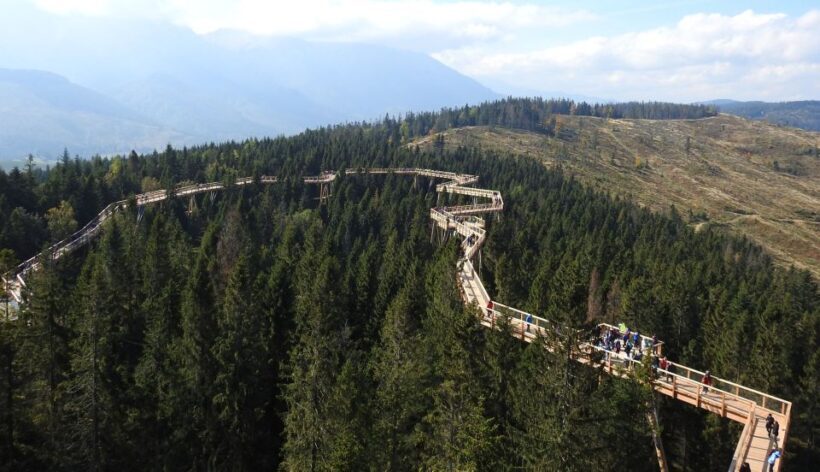From Kraków: Slovakia Treetop Walk and Thermal Baths - Final Thoughts