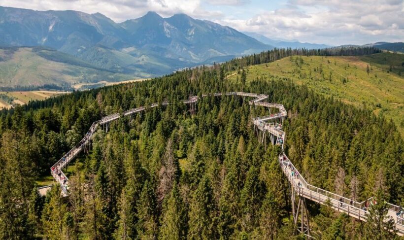 From Krakow: Slovakia Treetop Walk and Zakopane Tour - Key Points