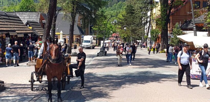 From Krakow: Slovakia Treetop Walk and Zakopane Tour - Who Is This Tour Best For?