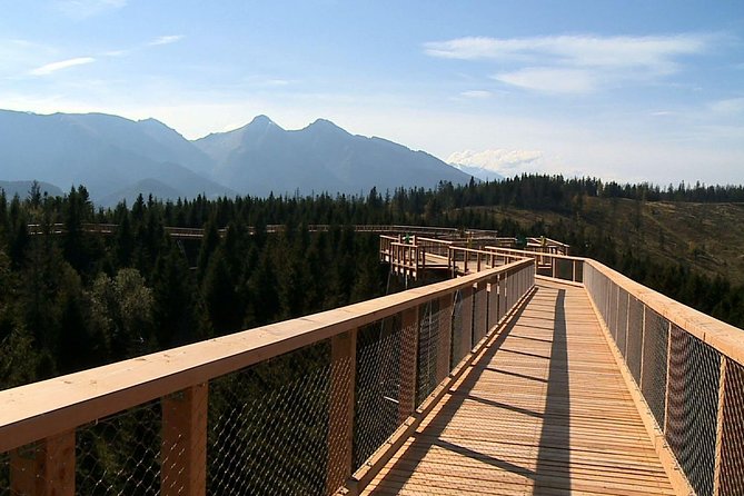 From Kraków: Slovakia Treetop Walk Bachledka and Zakopane - Tour Details