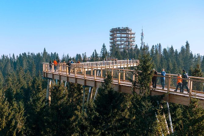 From Kraków: Slovakia Treetop Walk Bachledka and Zakopane - Discovering the Charm of Zakopane