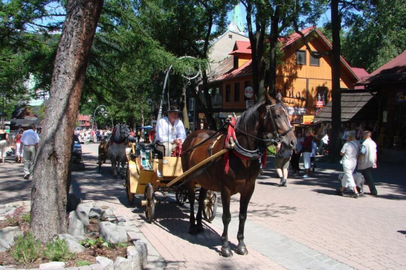From Krakow: Slovakia Treetop Walk, Zakopane & Thermal Spa - Real Traveler Insights and Highlights