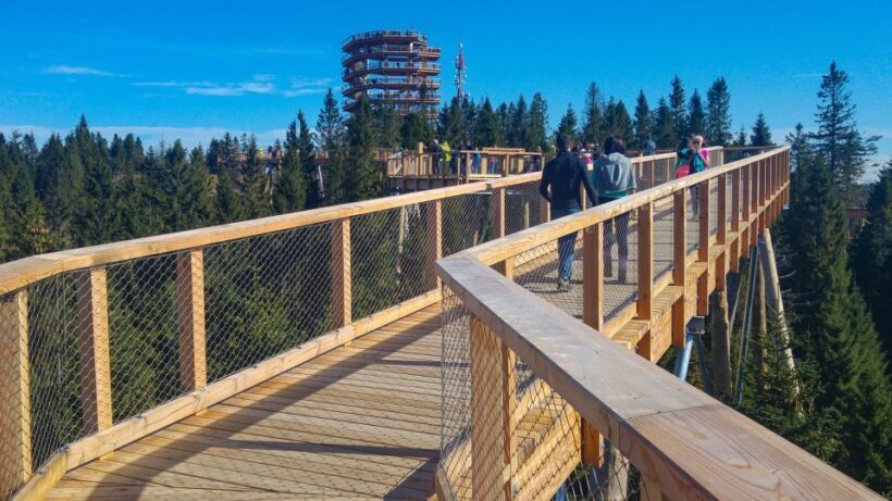 From Krakow: Slovakia Treetop Walk, Zakopane & Thermal Spa - Final Thoughts