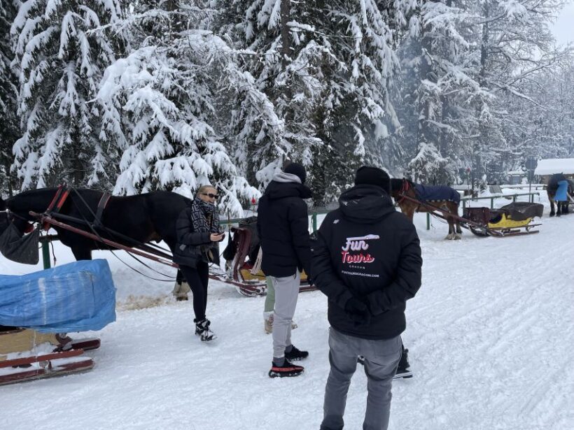 From Krakow: Snowmobile, Zakopane & Chochoowskie Baths - Who Will Enjoy This Tour?