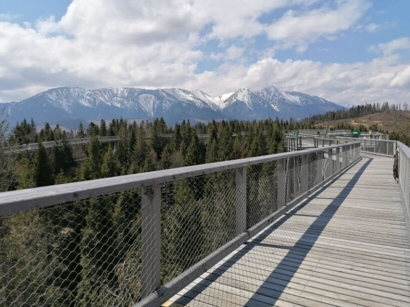 From Krakow: Treetop Walk & Zakopane Visit Small Group Tour - Starting with the Treetop Walk in the Presov Region