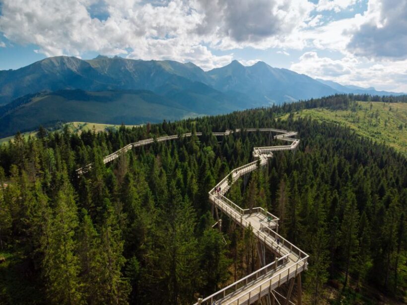 From Krakow: Treetop Walk & Zakopane Visit Small Group Tour - Practical Details and What’s Included