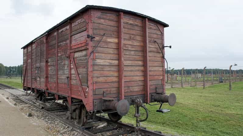 From Krakow: Wieliczka Salt Mine & Auschwitz Guided Trip - The Reviews: What Others Say