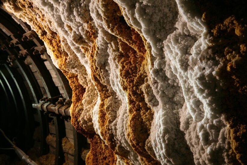 From Krakow: Wieliczka Salt Mine Guided Tour - Final Thoughts
