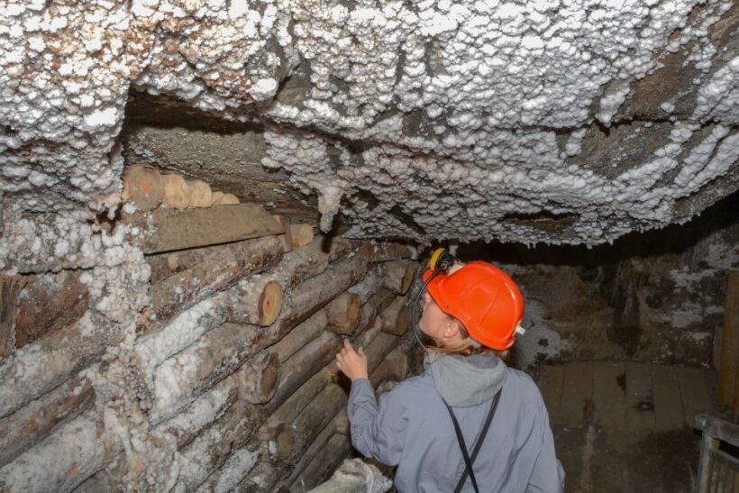 From Kraków: Wieliczka Salt Mine Guided Tour - Who Should Consider This Tour?