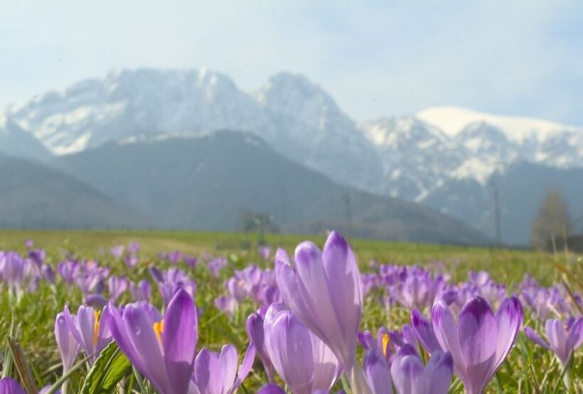 From Krakow: Zakopane and Tatras Mountains Full-Day Tour - FAQ