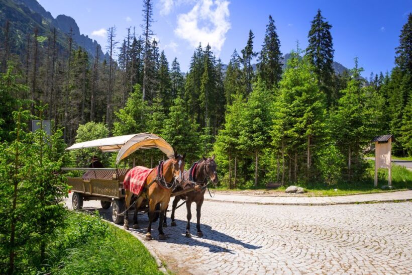 From Krakow: Zakopane and the Tatra Mountains Private Tour - Practical Details and Considerations